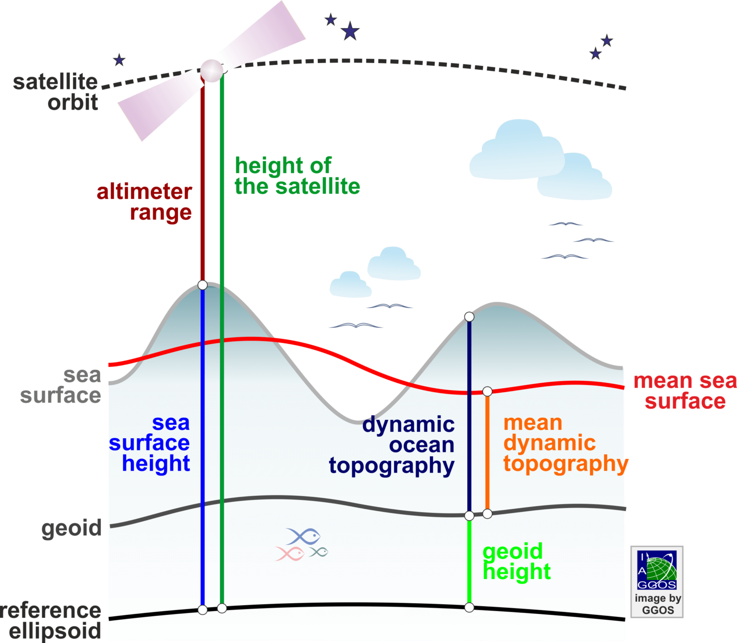 Ocean Topography Models - geodesy.science - IAG website