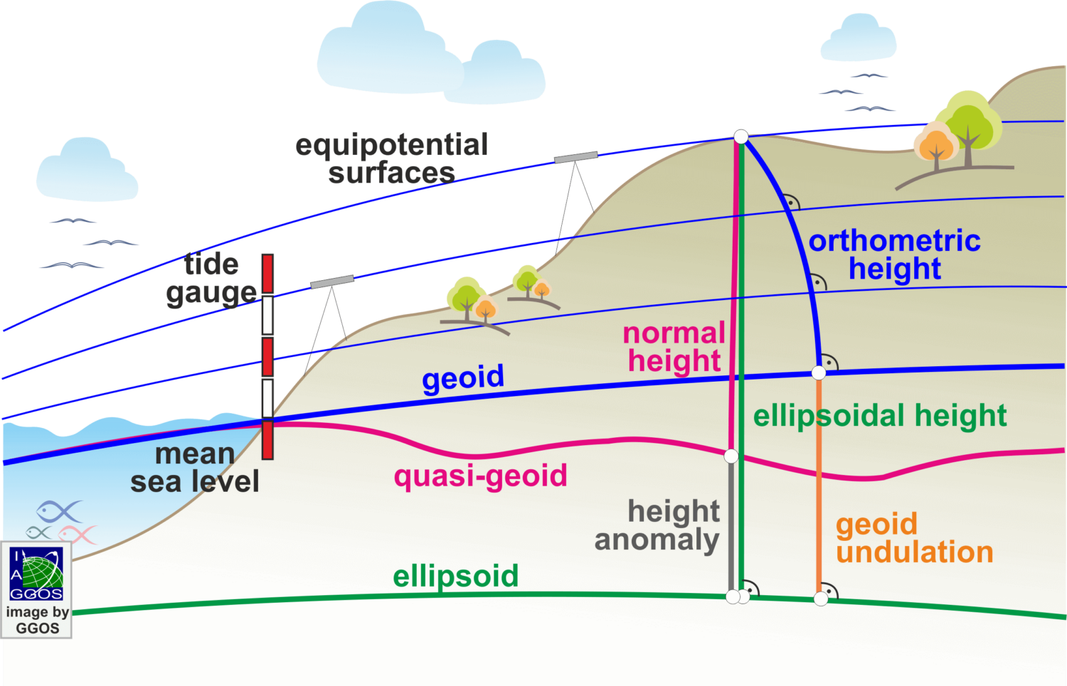 Height Systems | Orthometric, Ellipsoidal & Normal Heights